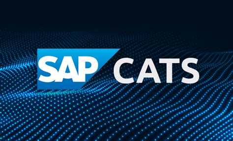 Sap Cats Mitarbeiterzeitdaten Pflegen Und Zeit Sparen