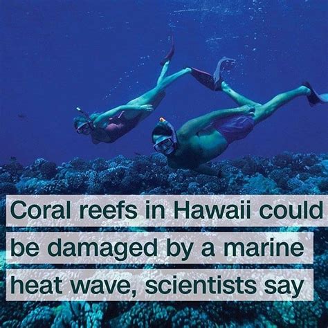 Pin On Official Evolve Or Dissolve