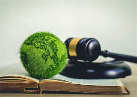 Environmental Crime Trends Defense Strategies Candice Fields Law