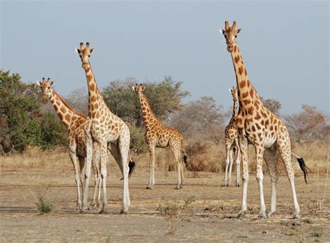 Finding Africa Beauty In Cameroon