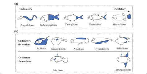 Classification Of Swimming Modes A Bcf And B Mpf Blue Areas Download Scientific Diagram