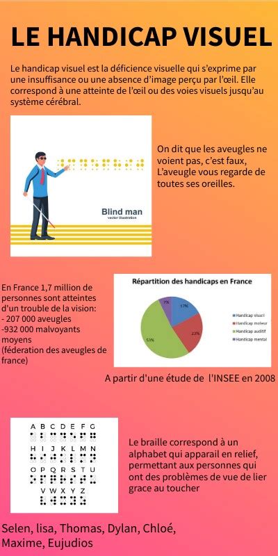Formation Handicap Visuel En Ligne Lutrln