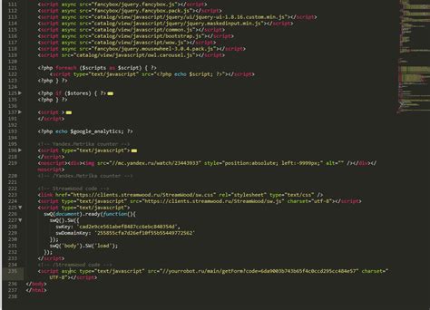 оптимизация сайтов Удалите код javascript и css блокирующий