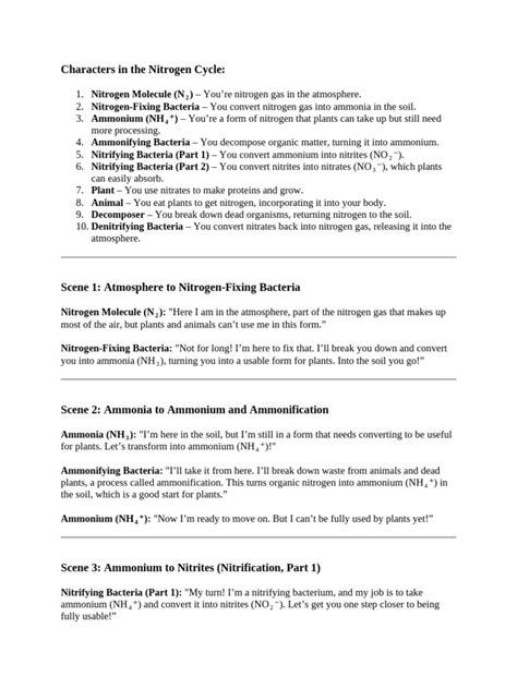 Ammonification In The Nitrogen Cycle Pdf Ammonium Nitrogen