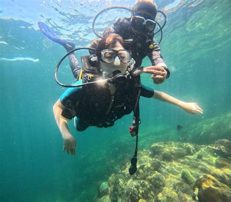 Experiencia Pro Guiada De Buceo En Arrecifes De Coral Getyourguide