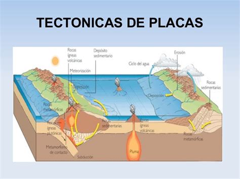 Tipos De Placas Tectónicas
