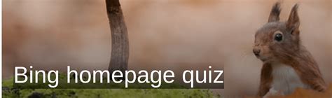 Bing Daily Trivia Quiz Squirrel Appreciation Day