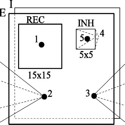 4 The Relevant Areas Of The Perisylvian Cortex In Man And Homologous Download Scientific