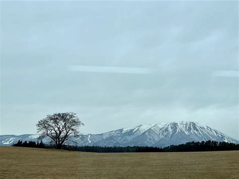 Mary J Eberhardinger Ph D On Linkedin Koiwaifarm Iwate Jfoodo