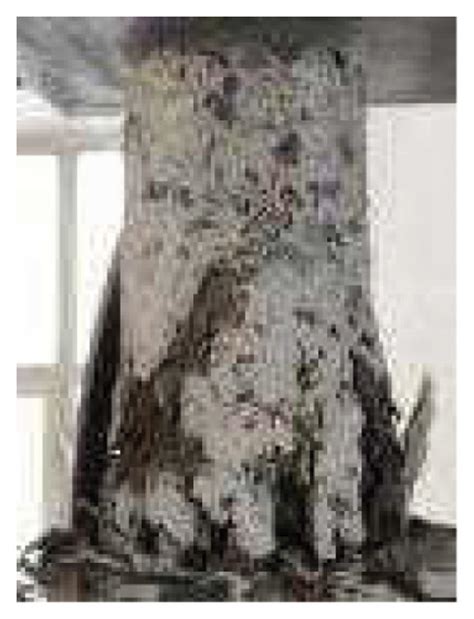 Axial Compression Test A 0 B 1 C 2 Download Scientific Diagram