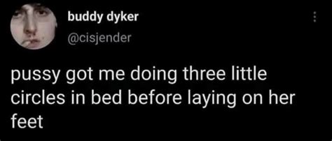 Pin By Cat Flake On Peyton Really Funny Funny Quotes Silly Me