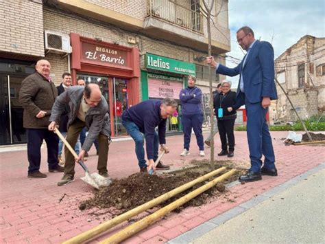 Murcia Planta Más De Un Centenar De árboles En Alcorques De Barrios Y