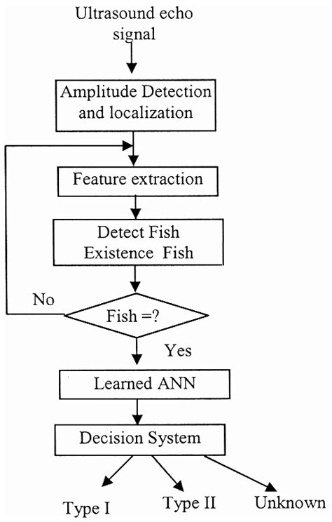 Detection And Classification Procedures Download Scientific Diagram