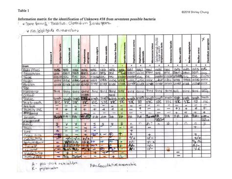 Microbiology Unknown Project Tips Basic Sciences