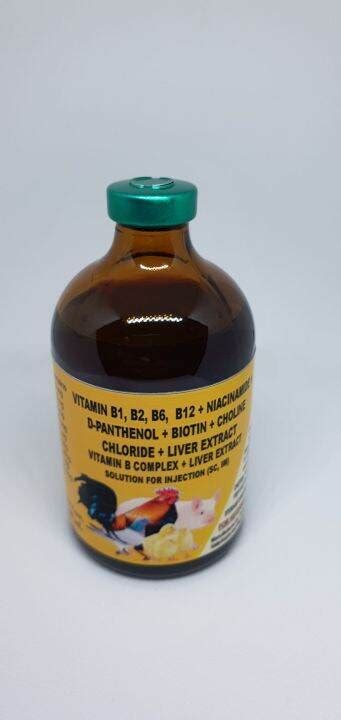 Vitamins B Complex Liver Extract 100ml Lazada Ph