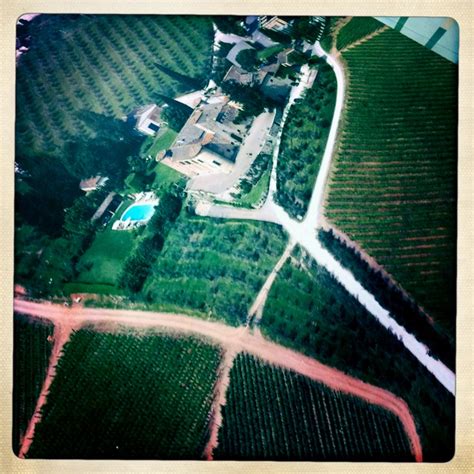 Come Usare Il Sangiovese Nei Nuovi Mercati Federico Cerelli Da Castello Di Gabbiano