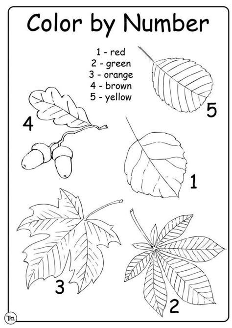 Free Fall Leaves Worksheets For Preschool And