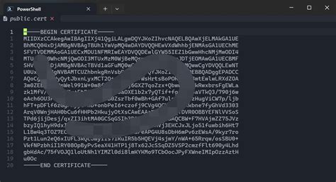 Jdk 中的 Keytool 的使用，以及提取 Jks 文件中的公钥和私钥 模糊计算士 博客园