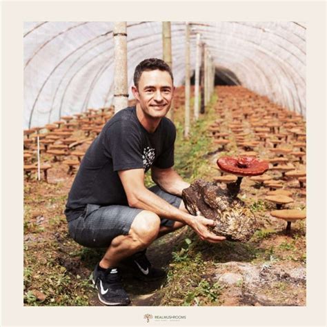 Demystifying The Fedex Tsca Form In 2025 A Complete Walkthrough Expertbeacon