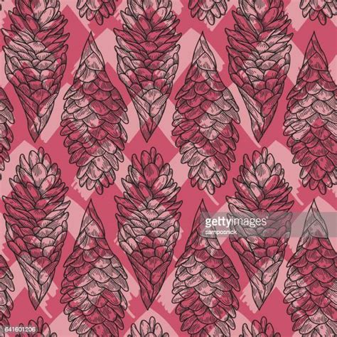 Ginger Root Seamless Pattern Photos And Premium High Res Pictures Getty Images