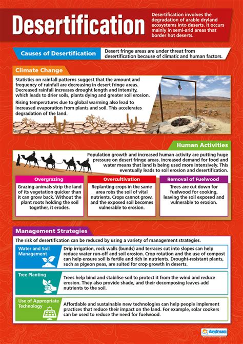 Causes Of Desertification