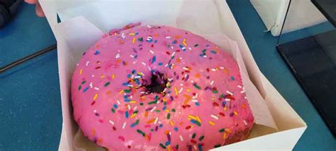 How Many People Can Share The Big Pink Donut Universal Orlando Guide
