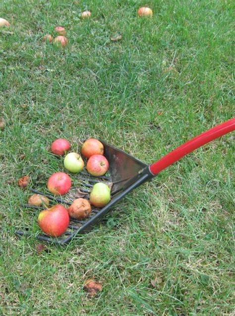 Root Assassin Rake Assassin The Easy Way To Do Your Yard Work