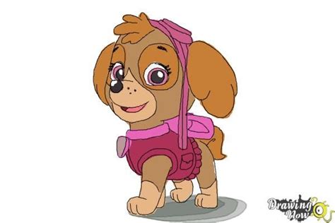 How To Draw Skye From Paw Patrol Step 11 Skye Paw Patrol Paw