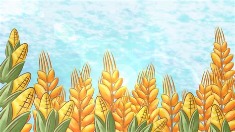 Golden Poster Paddy Corn Simple Cartoon Powerpoint Background For Free