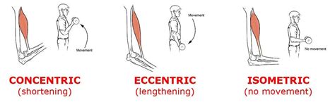 Progressive Tendon Loading For Patellar Tendinopathy Sports Medicine