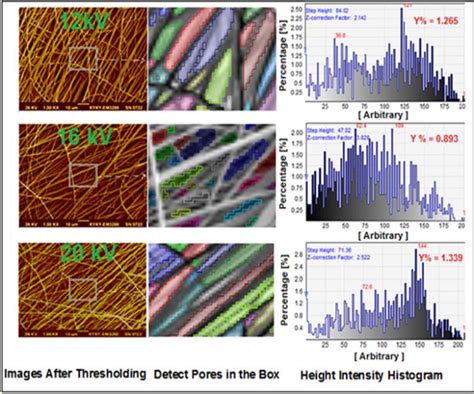 Sem Micrographs After Thresholding Detected Pores And Height Intensity