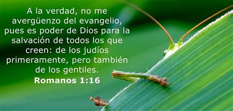 O Poder De Deus Que Excede Qualquer Entendimento