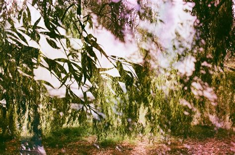 Amy Gladding The Flying Fruit Bowl