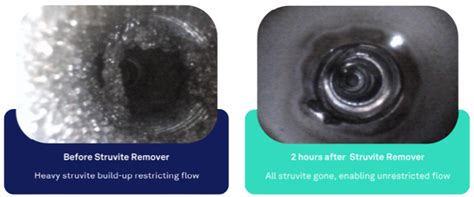 Efficient Struvite Removal Minimising Plant Downtime For Rapid Results