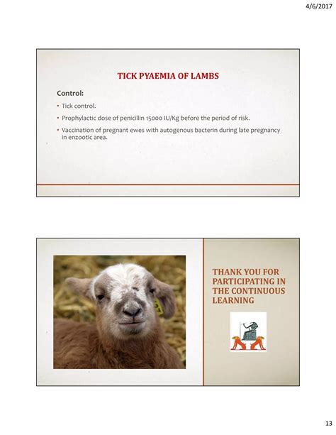 Caseous Lymphadenitis Pdf