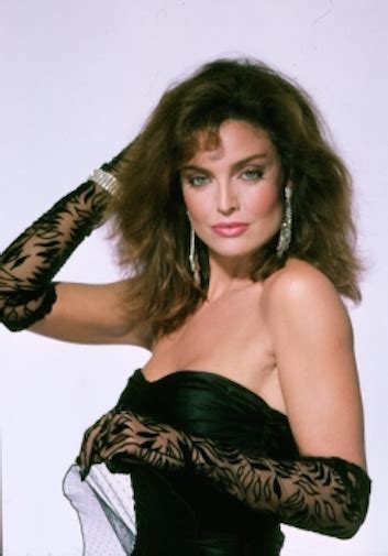 Dynasty 1981