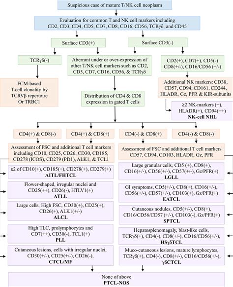 Flowchart Demonstrates An Immunophenotypic Approach For Assessing Download Scientific Diagram