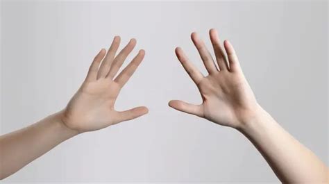 Hình Nền Mẫu Vị Trí Sản Phẩm Minh Họa Tay 3d Trên Nền Trắng Nắm Tay Mở Bàn Tay Tay Nữ