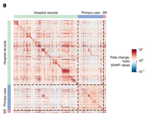 [frontier Insights] Gptが拓く未来の医療：人の病歴から1000以上の疾患を予測・生成するai「delphi 2m」【nature論文解説】 Decades Inc