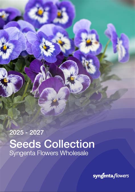 Samen Aders Saatgut • Jungpflanzen • Gartenbaubedarf