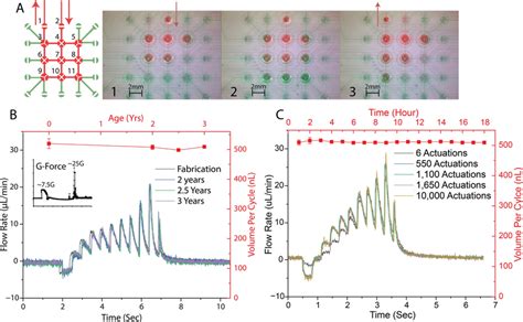Different Long Term Stability Tests For The Presented Fabrication