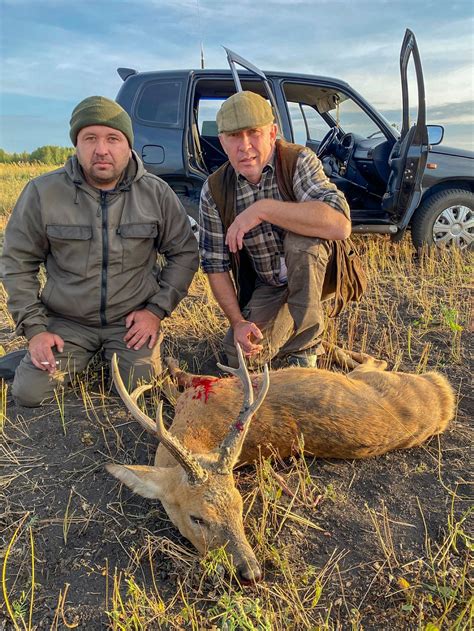 Big Siberian Roebuck In Kasakhstan