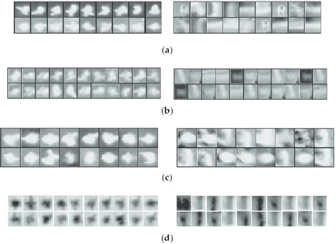 Pedestrian Left Column And Non Pedestrian Right Column Blob Download Scientific Diagram