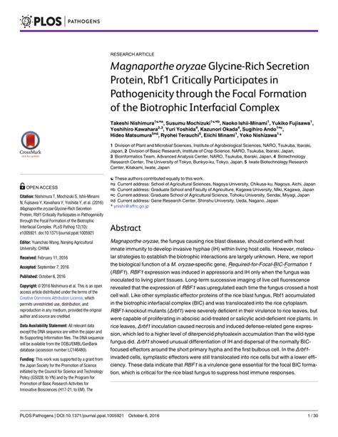 Pdf Magnaporthe Oryzae Glycine Rich Secretion Protein Rbf1