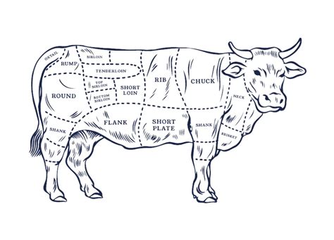 Beef Cuts Guide Tom Hixson Of Smithfield