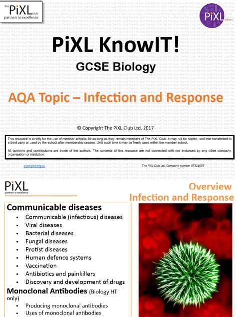 Infection And Response Ppt For Biology Paper 1 Pdf Infection Pathogen
