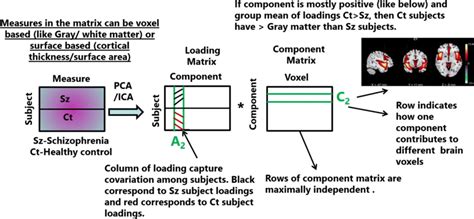 Source Based Morphometry Algorithm Xu Et Al 2009a In A Generalized