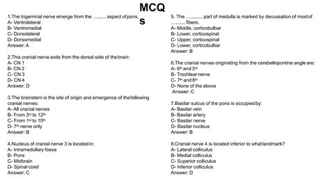 Brainstem Summarypptx