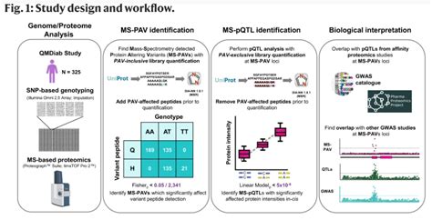 News In Proteomics Research Pqtl Gwas Studies By Lcms Proteomics