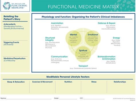 Functional Medicine Matrix Your Guide To Root Cause Healing
